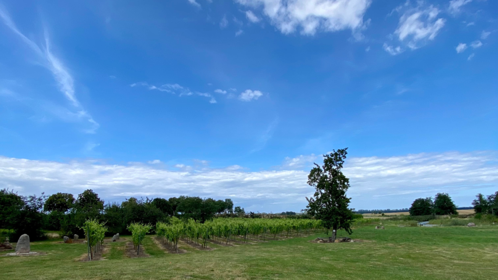 Kellerei Hof Bülow - Gutes aus Vorpommern